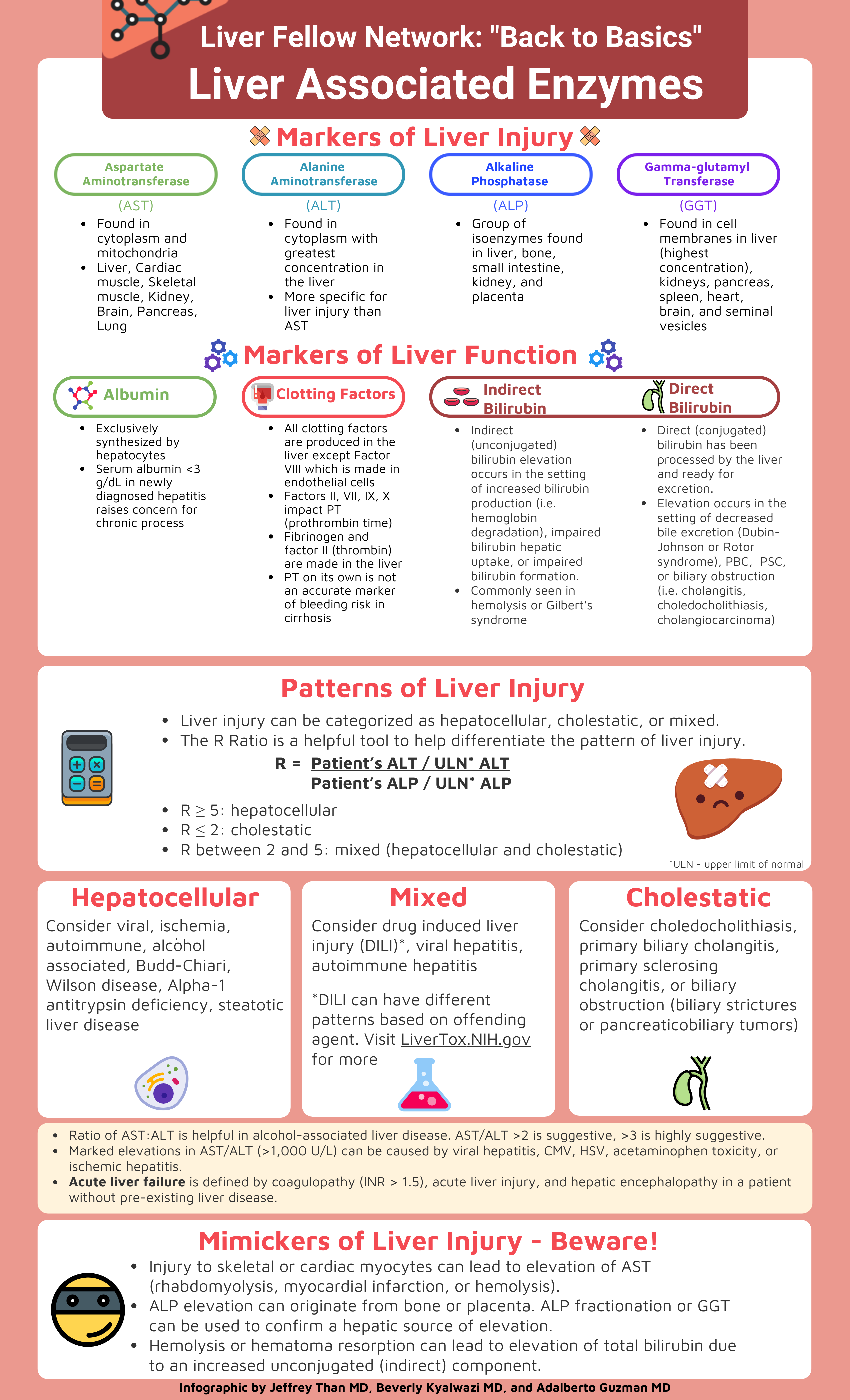 Back to Basics: Liver Associated Enzymes | AASLD